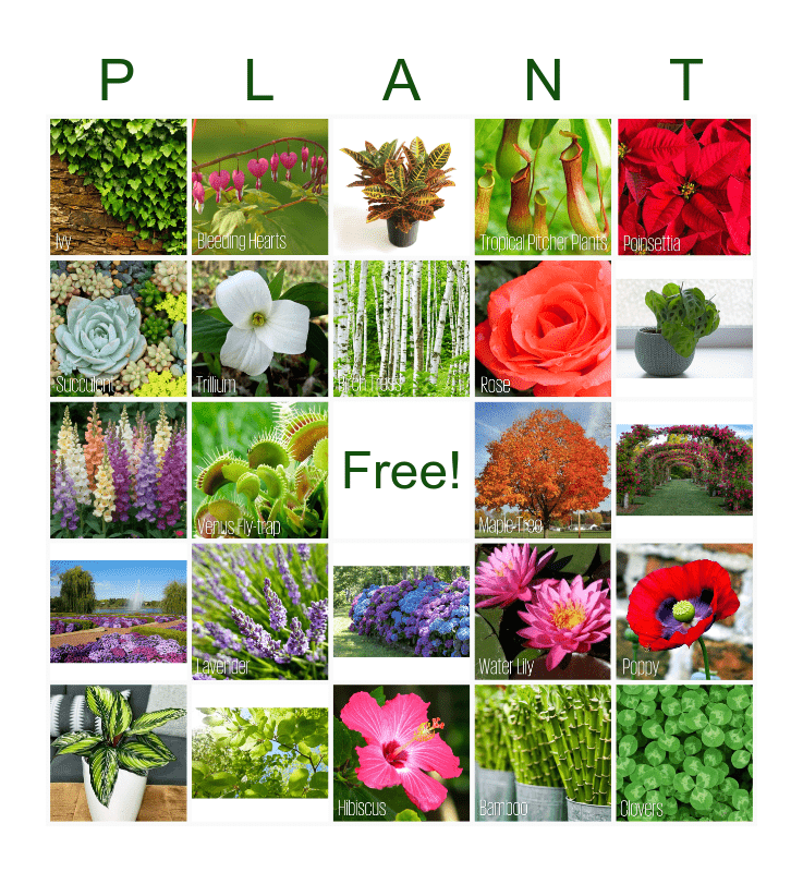 Plants & Gardening BINGO! Bingo Card