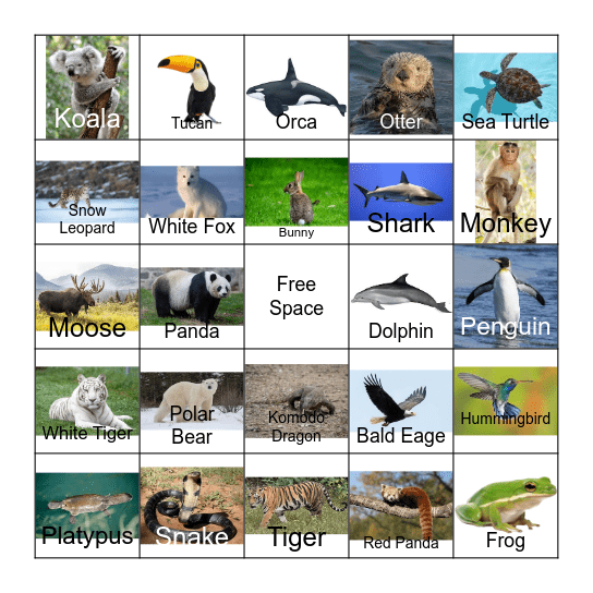 Animal Bingo Card