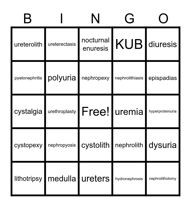 Chapter 9 Urinary System Bingo Card