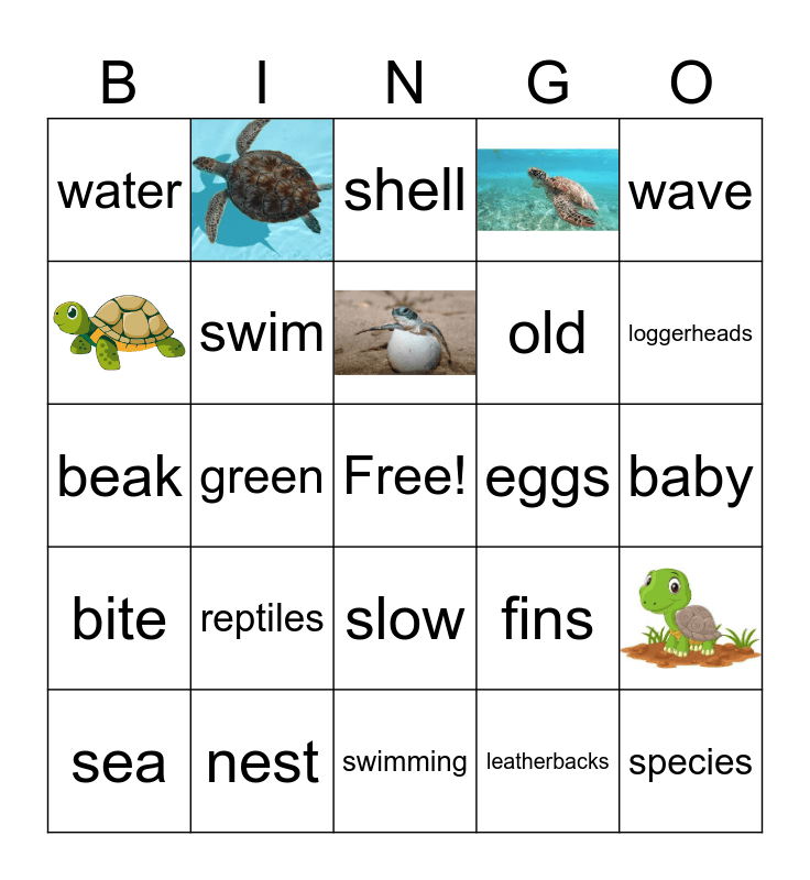 Sea Turtle Bingo Card