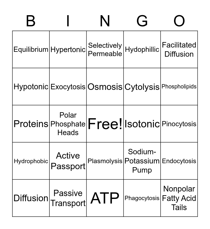 Cell Membrane and Transport Bingo Card