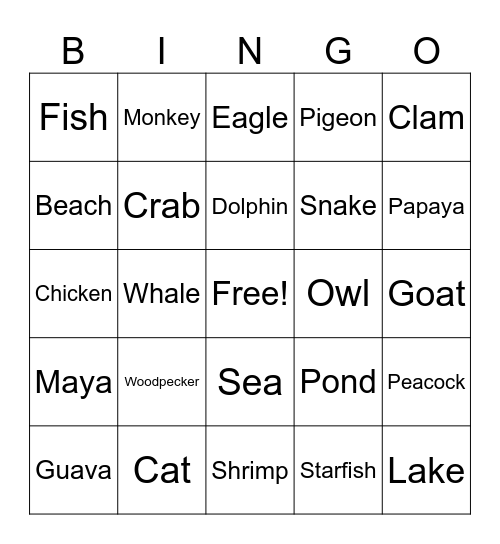 BIO BINGO Card