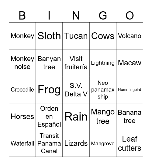 Delta V - Panama Bingo Card