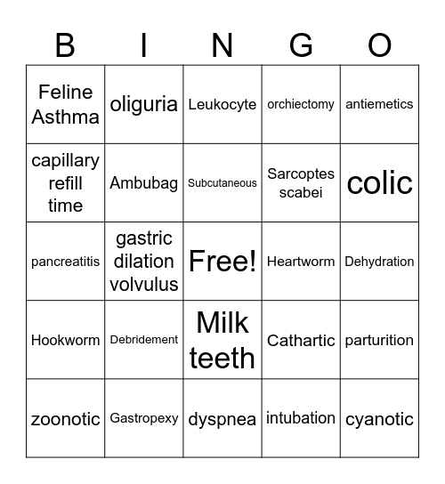Veterinary Assistant Bingo Card