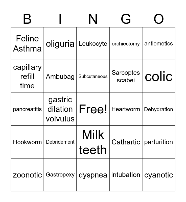 Veterinary Assistant Bingo Card