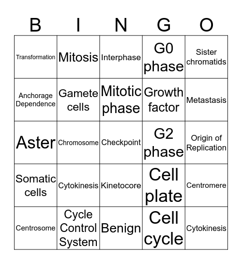 Cell Cycle Bingo Card