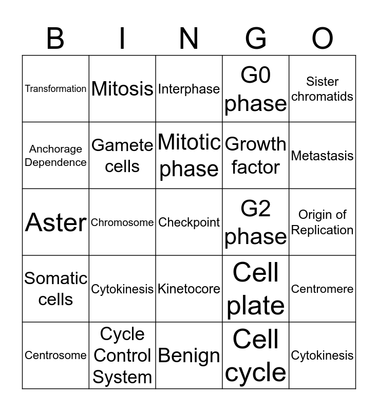 Cell Cycle Bingo Card