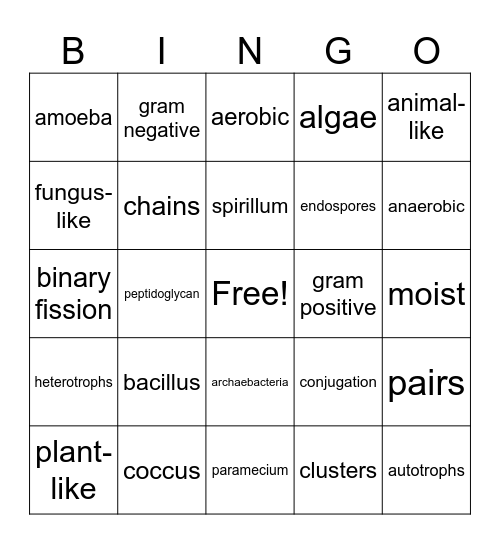 bacteria and protists Bingo Card