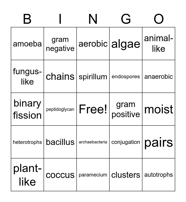 bacteria and protists Bingo Card