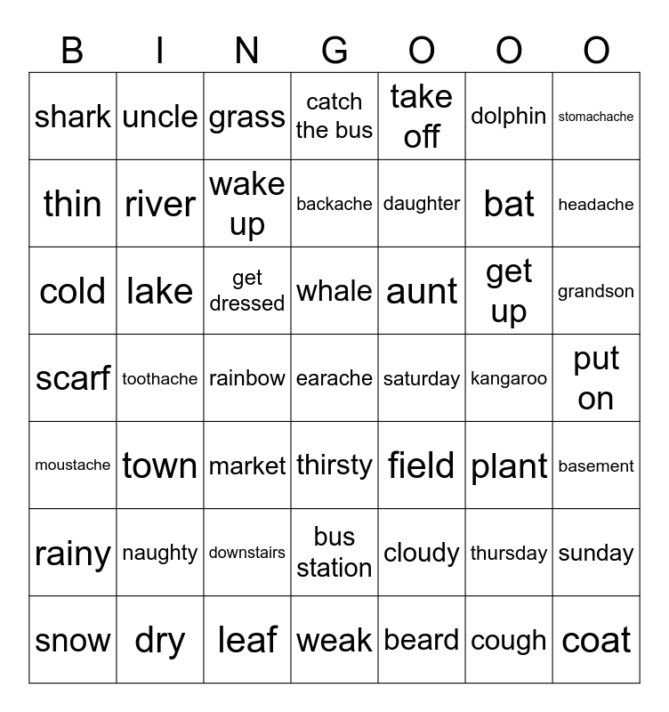 kid's box 3 Bingo Card