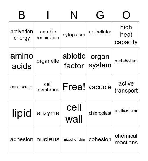 biology vocabulary (by isa) Bingo Card