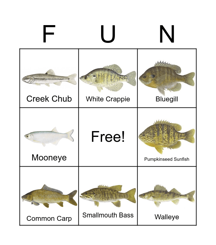 Iowa Fish Bingo Card