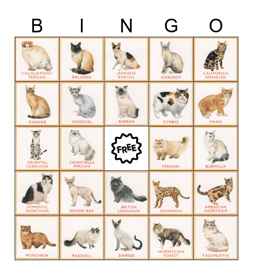 Cat Breed Bingo Card