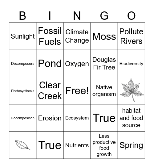 Final Review Bingo Card