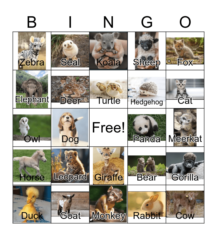Baby Animals Bingo Card