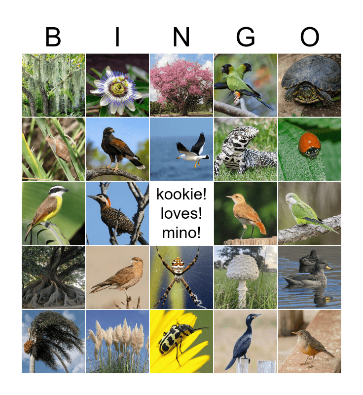 seek bingo: BA edition! Bingo Card