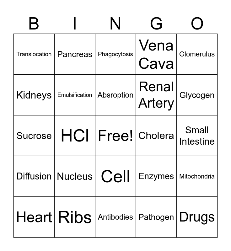 BIO BINGO Card