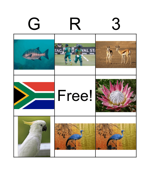 SOUTH AFRICA Bingo Card