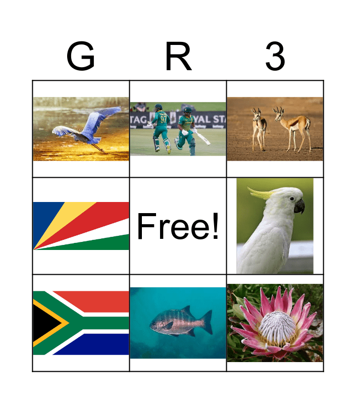 SOUTH AFRICA Bingo Card