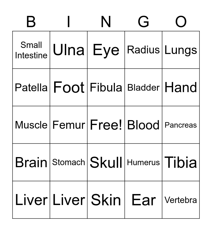Anatomy Bingo Card