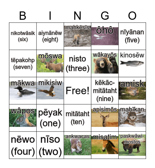 Cree Bingo - Animals and Numbers Bingo Card