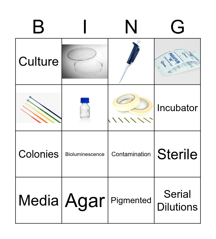 Microbiology word bingo Card