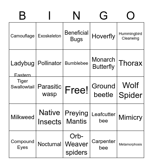BUG BINGO Card