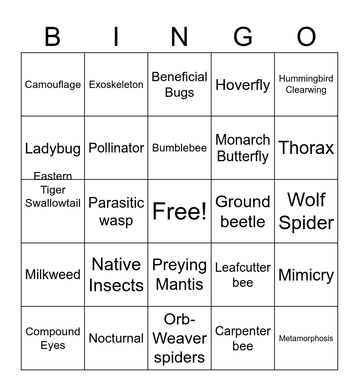 BUG BINGO Card