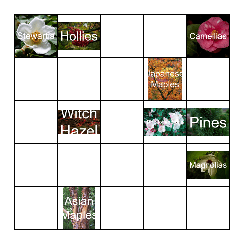 Arboretum Bingo! Bingo Card