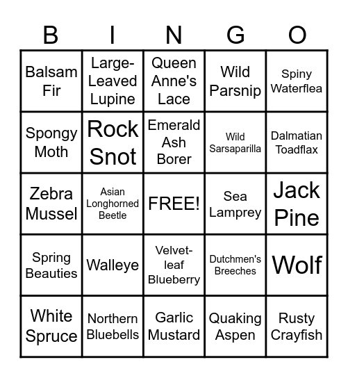 Native and Invasive Species Bingo Card