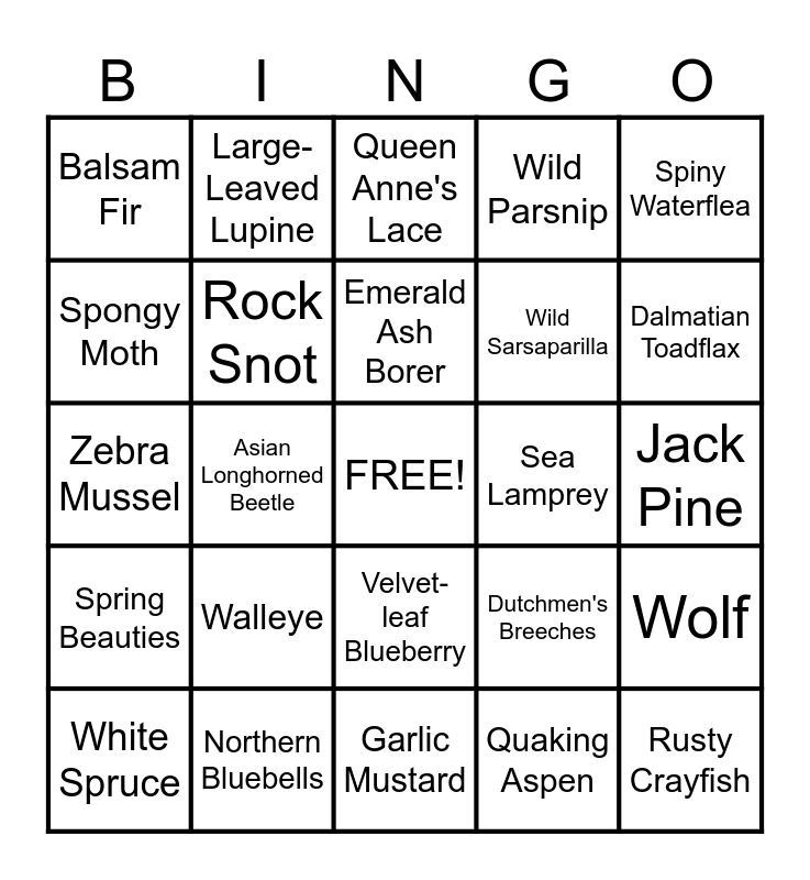 Native and Invasive Species Bingo Card