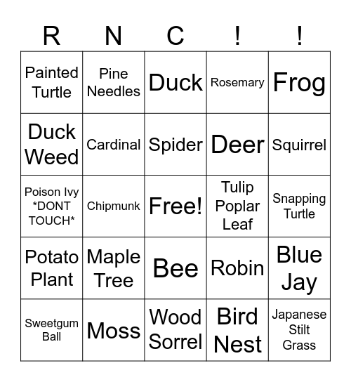 Identification Bingo! Bingo Card