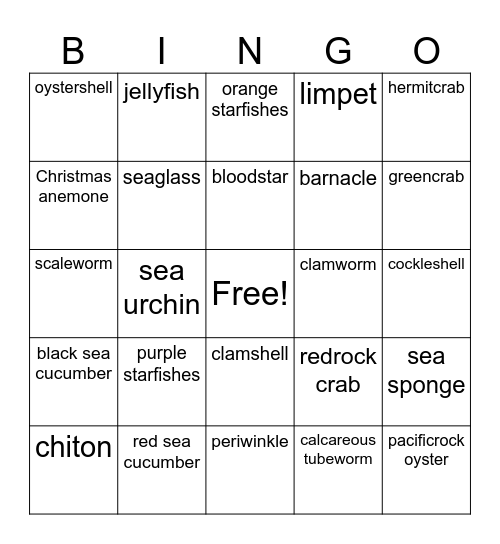 Intertidal Zone Bingo Card