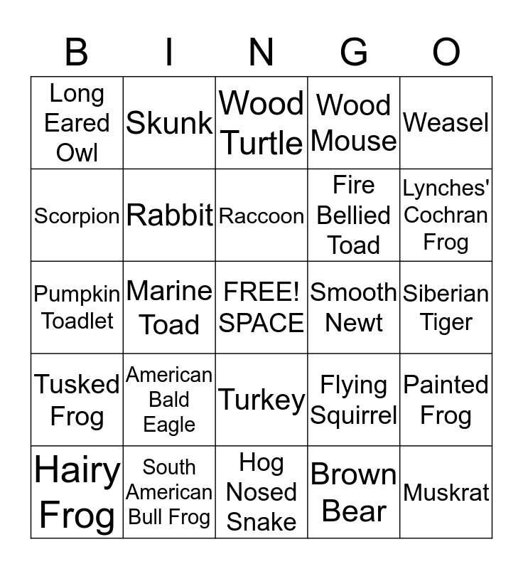 Deciduous Forest BINGO Card