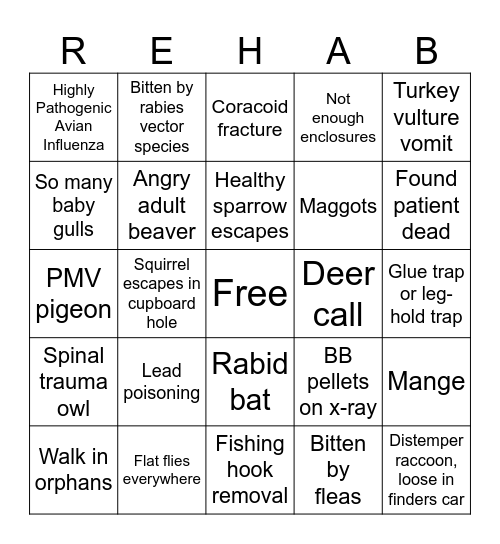 Assessment Room Bingo Card
