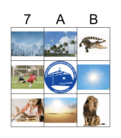 Imagine 3 Bingo Card