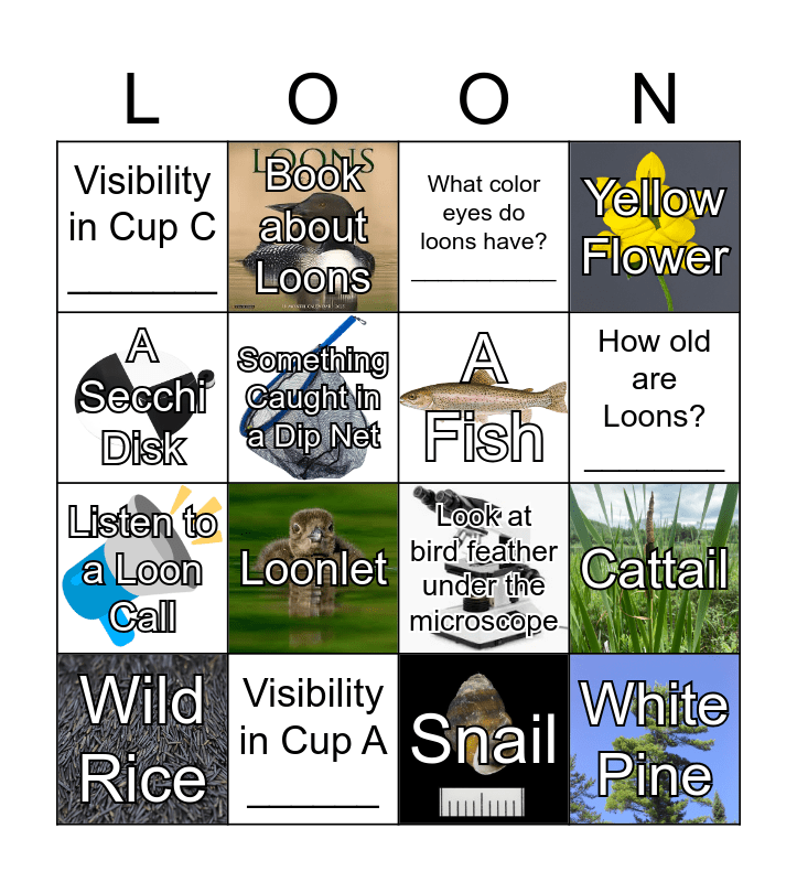 Swoon for Loons Bingo Card