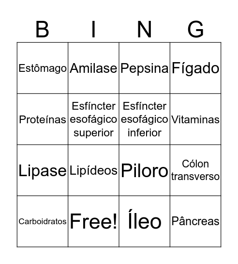 Sistema Digestório Bingo Card
