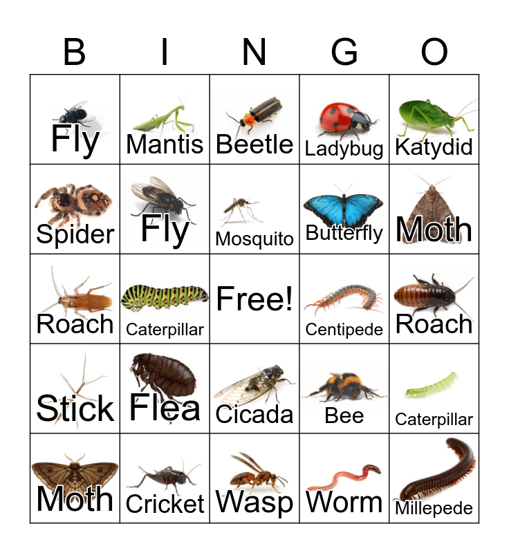 Bugs Bingo Card