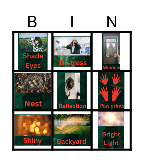 Detective Dudley Bingo Card Bingo Card