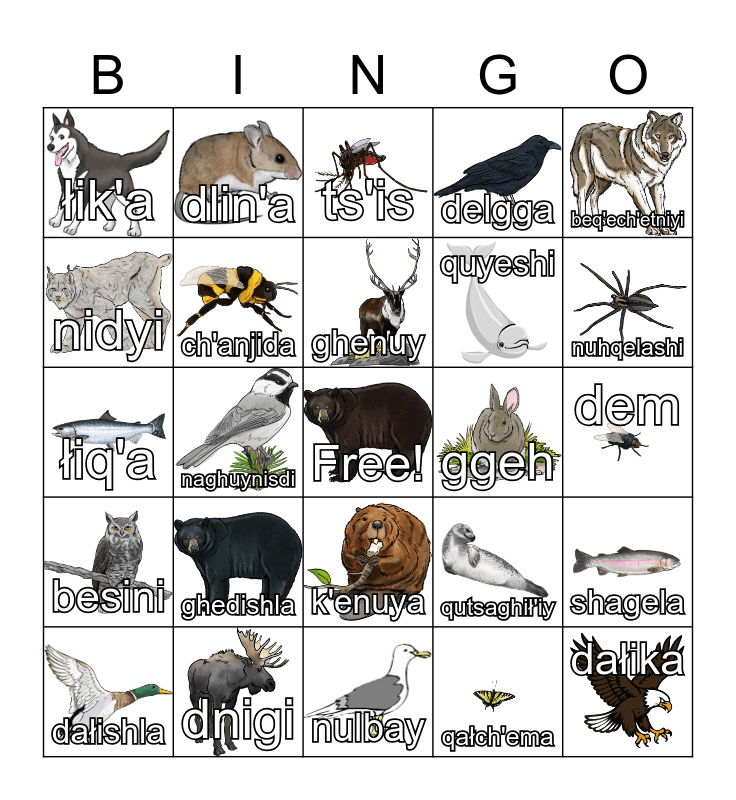 Shan Ninya BINGO with words Bingo Card