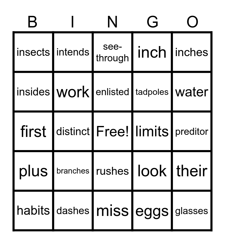 Glass Frogs Bingo Card
