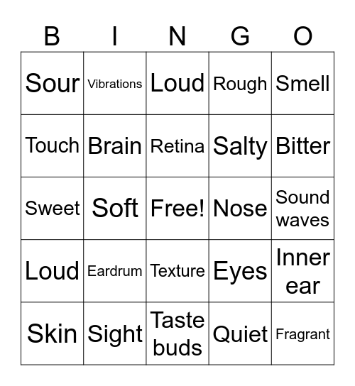 5 senses Bingo Card