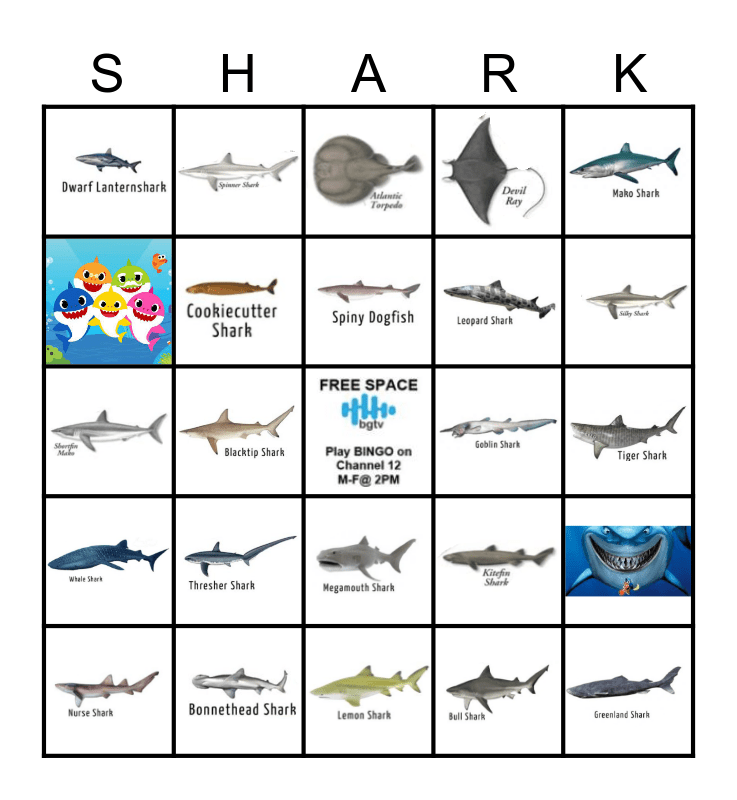 SHARK BINGO Card