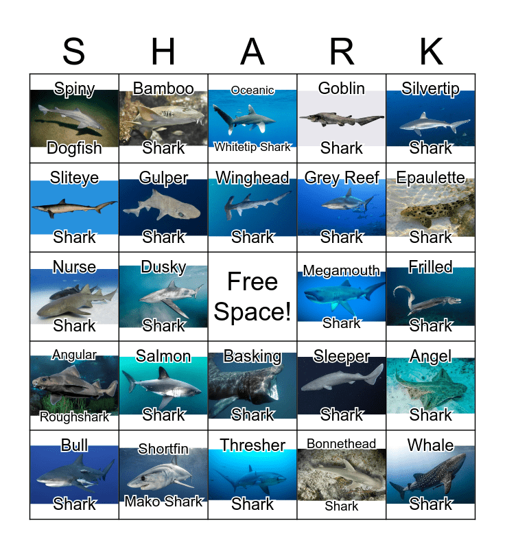 Shark Attack Bingo Card