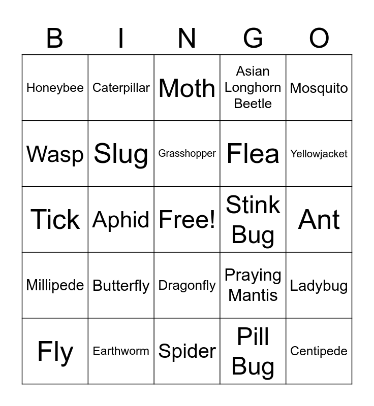 Insects Bingo Card