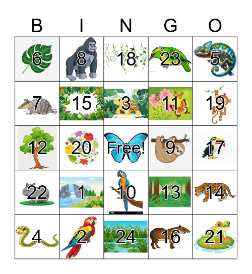 Rain Forest Bingo Card