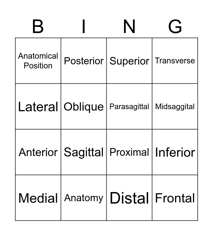 Anatomical Terminology Bingo Card