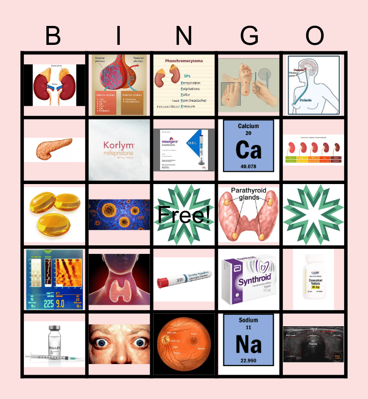 Endocrinology Bingo Card