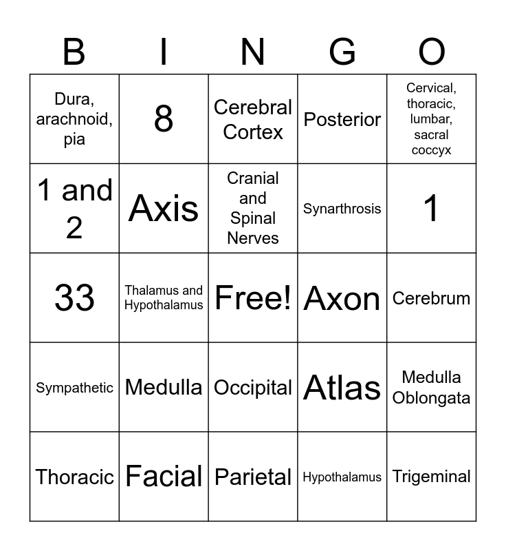 Neuro Anatomy Bingo Card